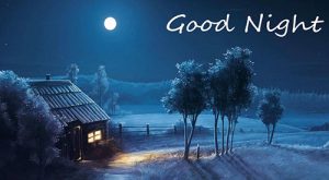 100 Romantic Good Night Messages For Crush