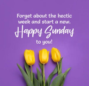 100+ Happy Sunday Wishes, Messages And Quotes