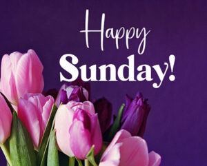 100+ Happy Sunday Wishes, Messages And Quotes